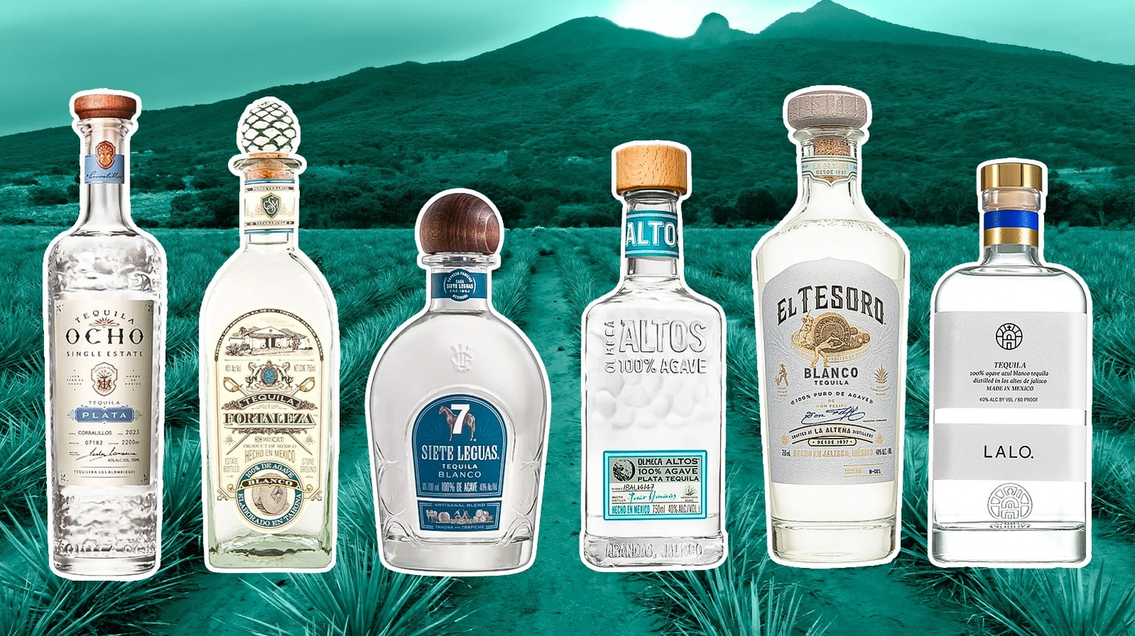 Best Tequilas To Drink Straight, According To Experts