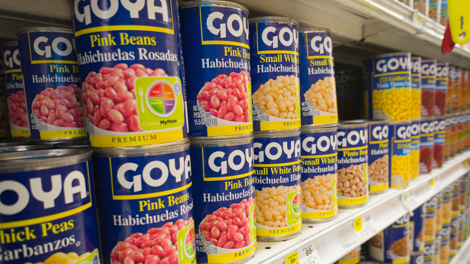 Amazing Recipes To Make With A Can Of Beans