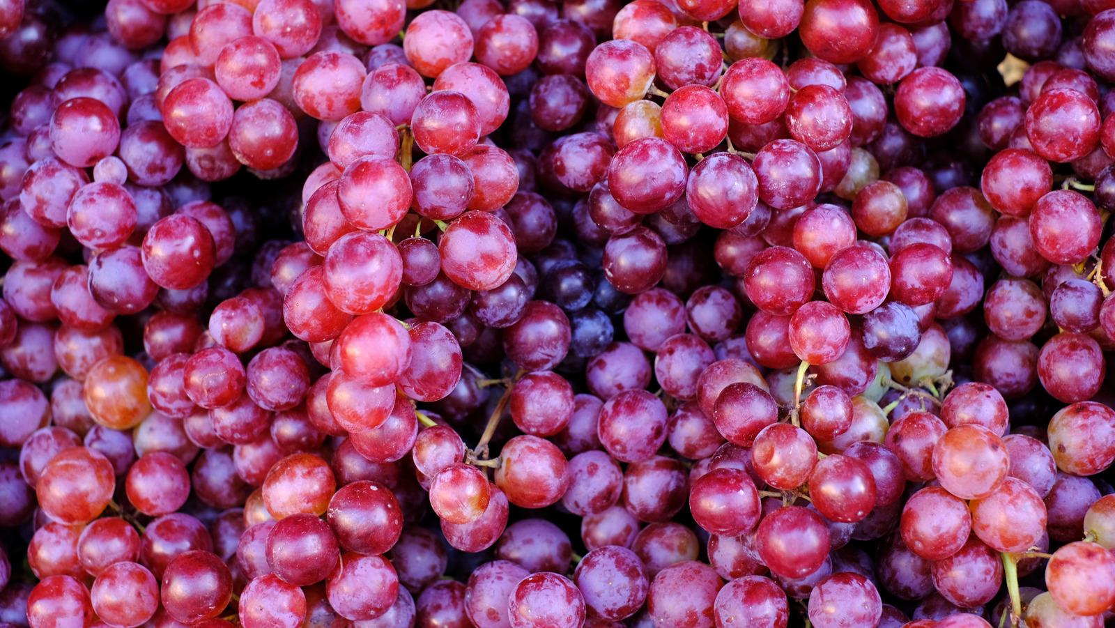 An Aldi Customer Reportedly Found A Creepy Crawler In A Bunch Of Grapes
