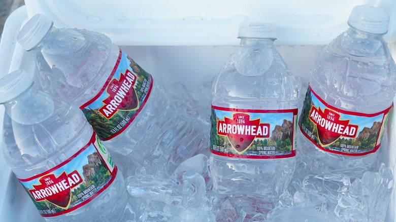 Bottled Water Brands, Ranked Worst To Best