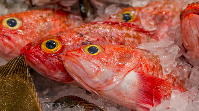 12 Cheap Fish You Should Absolutely Never Eat