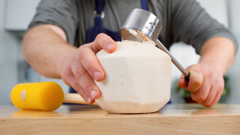 Here's What Happened To Coco Jack After Shark Tank