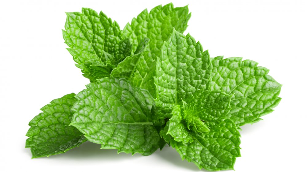 Here's What You Can Substitute For Mint Here's What You Can Substitute For Mint
