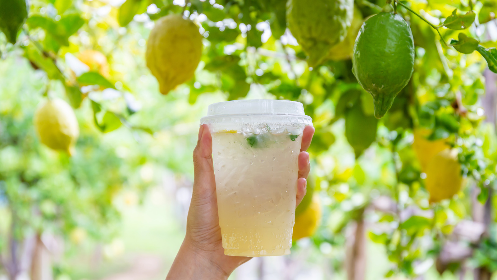 Mistakes Everyone Makes When Infusing Water