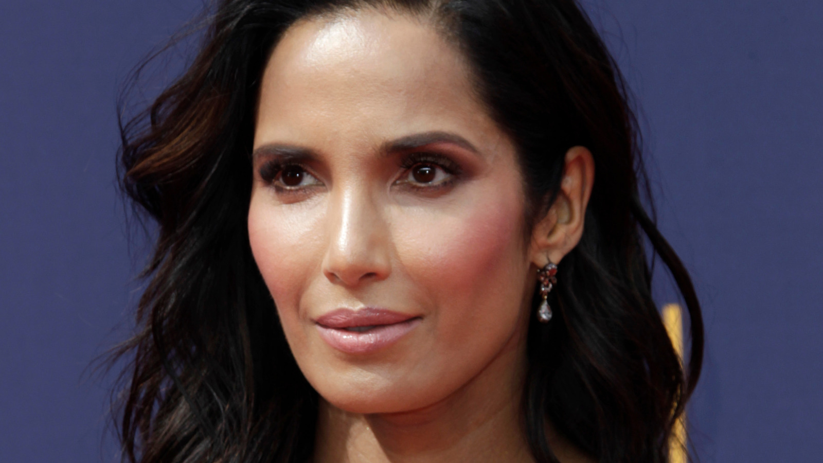 Padma Lakshmi Might Be Celebrating Ukrainian Food In Taste The Nation ...