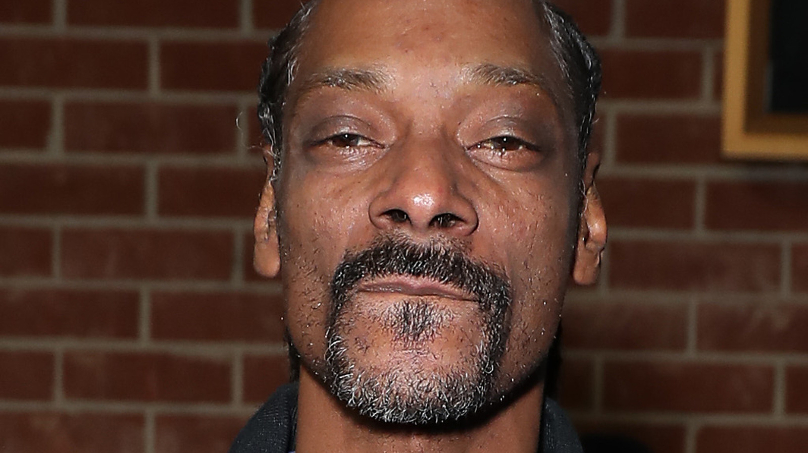 The Controversial Halloween Candy Snoop Refuses To Eat
