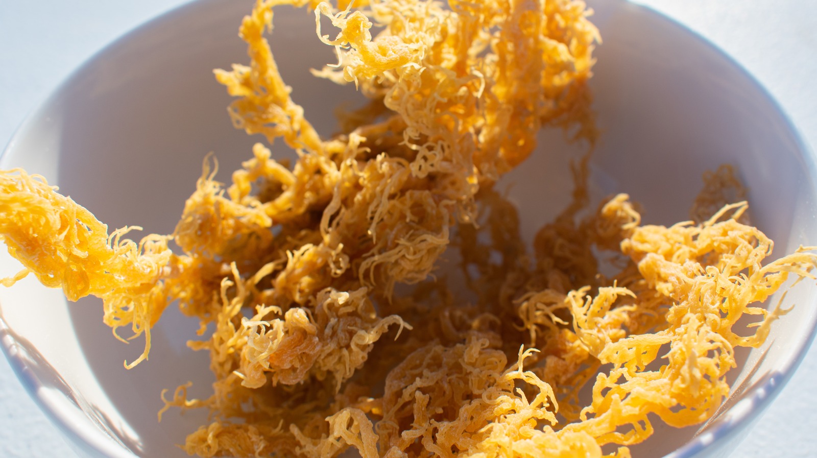 Sea Moss Could Be The New Health Craze