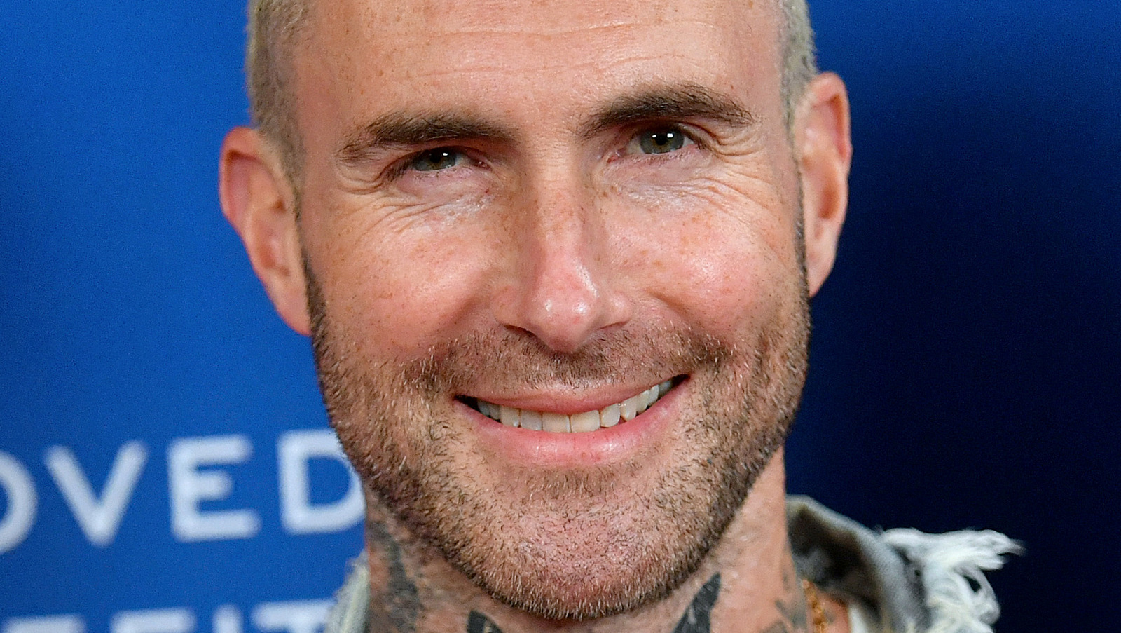 Shake Shack Just Roasted Adam Levine In The Best Way