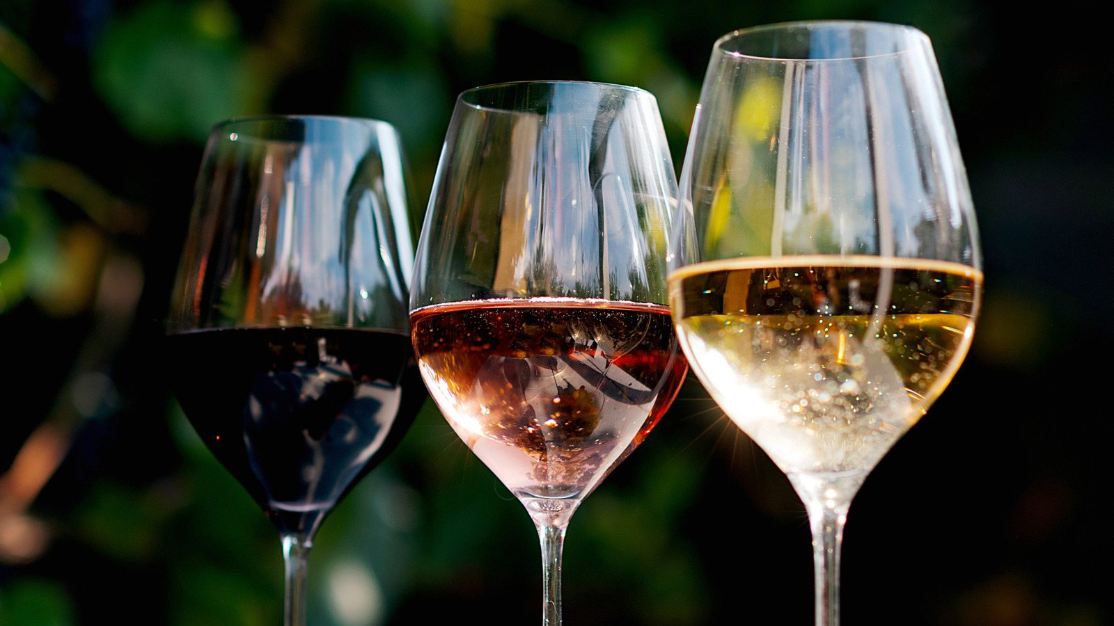 The Aldi Wine That Stood Out So Much It Won An Award