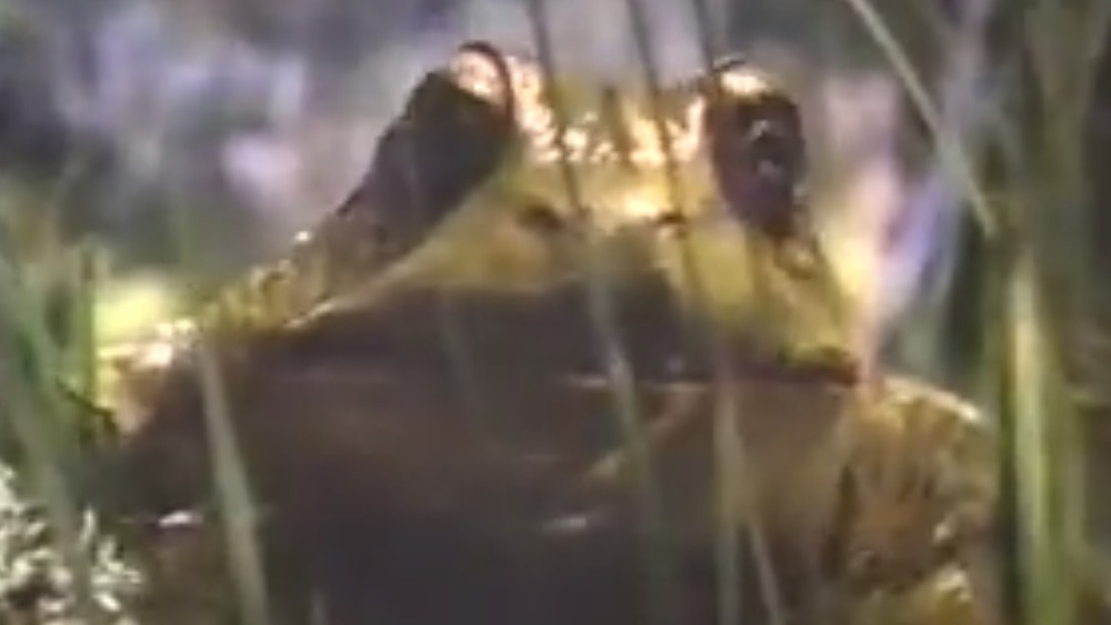 The Best Budweiser Super Bowl Commercials