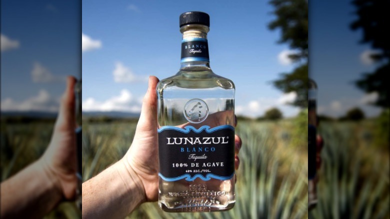 The Best Cheap Tequilas Of 2022