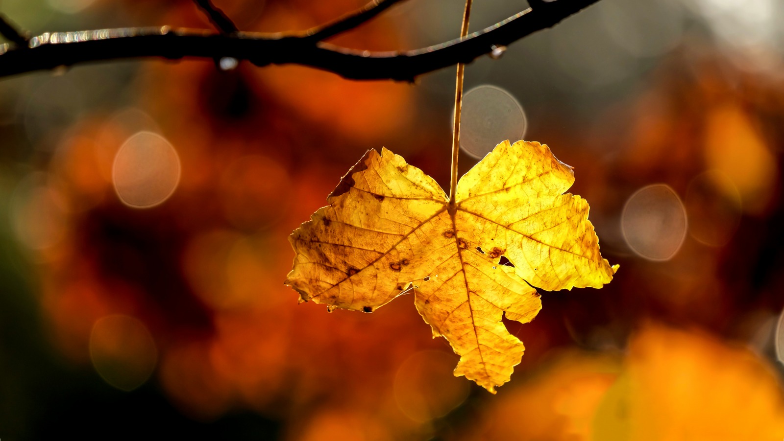 100 Best Fall Recipes You Need To Try