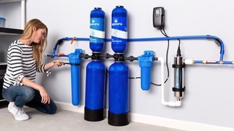 The Best Water Filters Of 2022