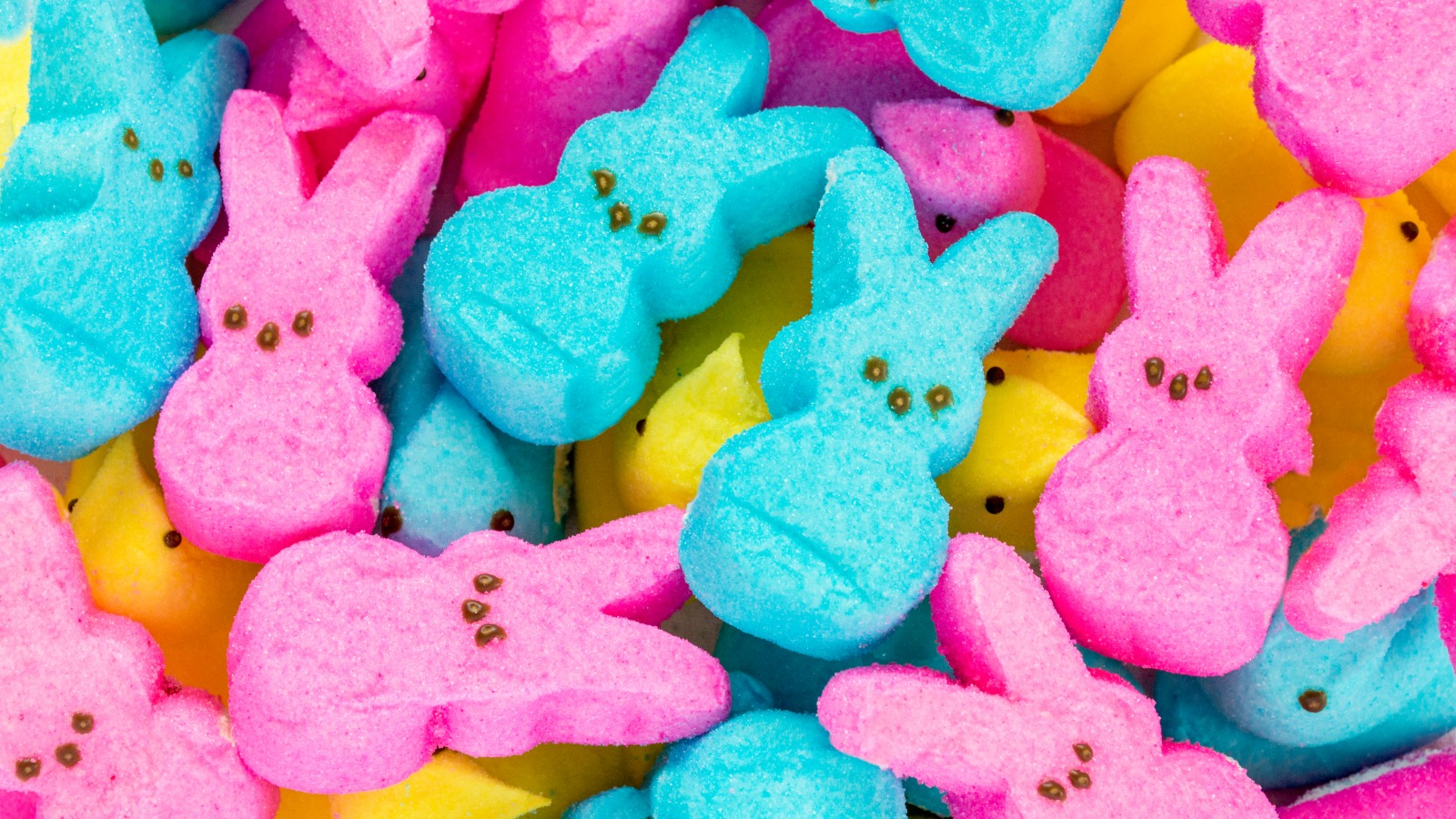 The Big Change PETA Is Calling On Peeps To Make