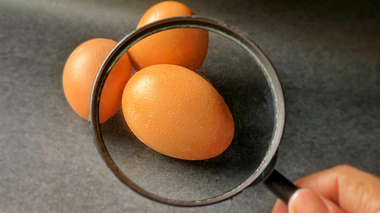 The Biggest Food Recalls Of 2024