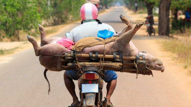 The Fascinating, Untold Truth About Bacon