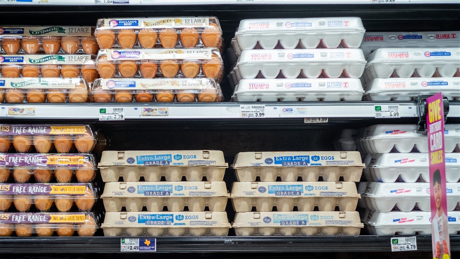 The Material Of Egg Cartons Matters