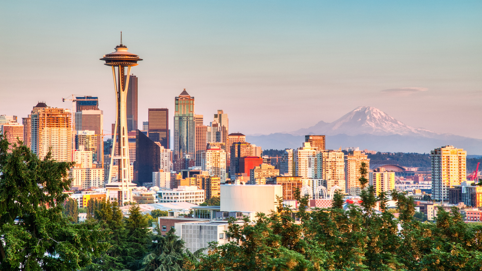 The Most Popular Kitchen Tool In Washington Might Not Surprise You