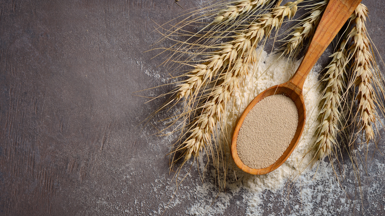 The Real Difference Between Active Dry Yeast And Nutritional Yeast The Real Difference Between Active Dry Yeast And Nutritional Yeast