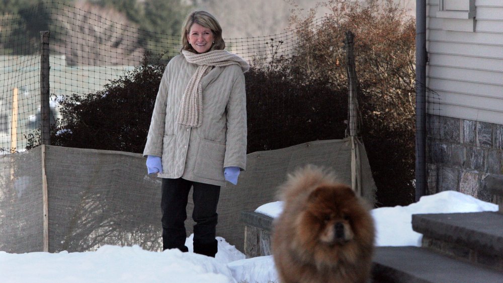 The Truth About Martha Stewart's Time In Prison