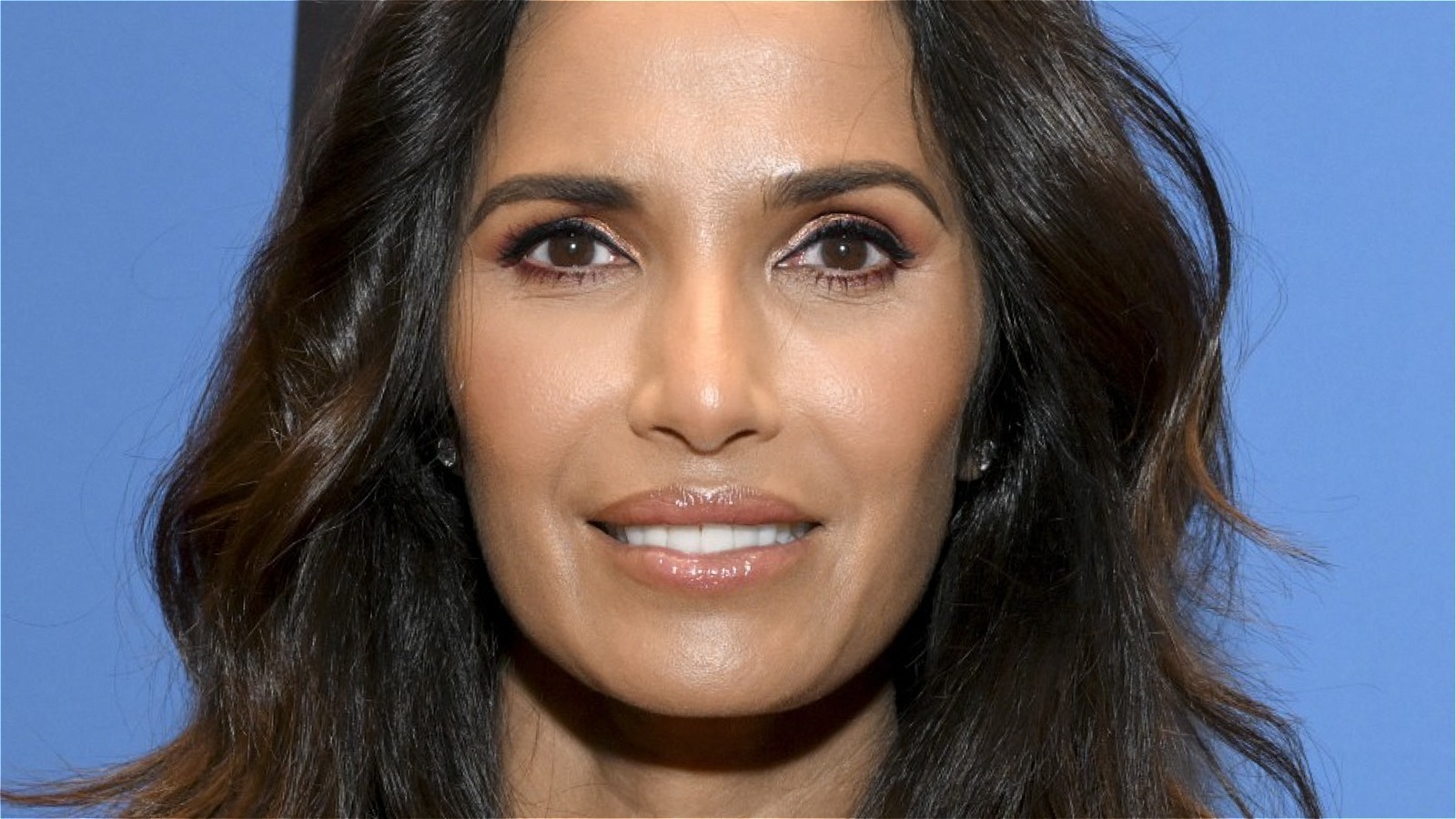 The Undeniably Best Tomato Sandwich, According To Padma Lakshmi