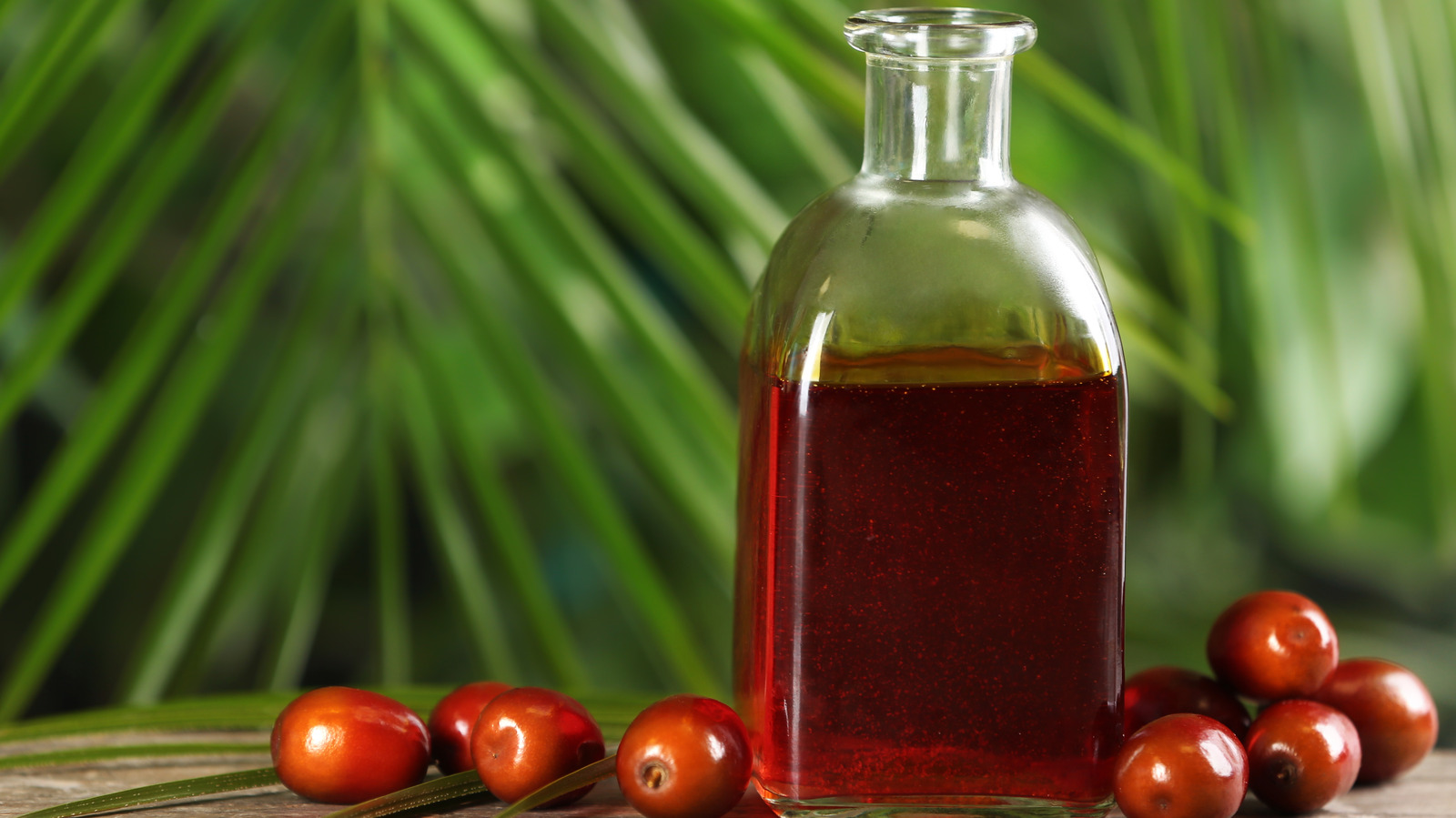 The Untold Truth Of Palm Oil