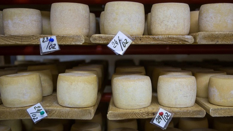 What You Need To Know Before Eating Velveeta Cheese