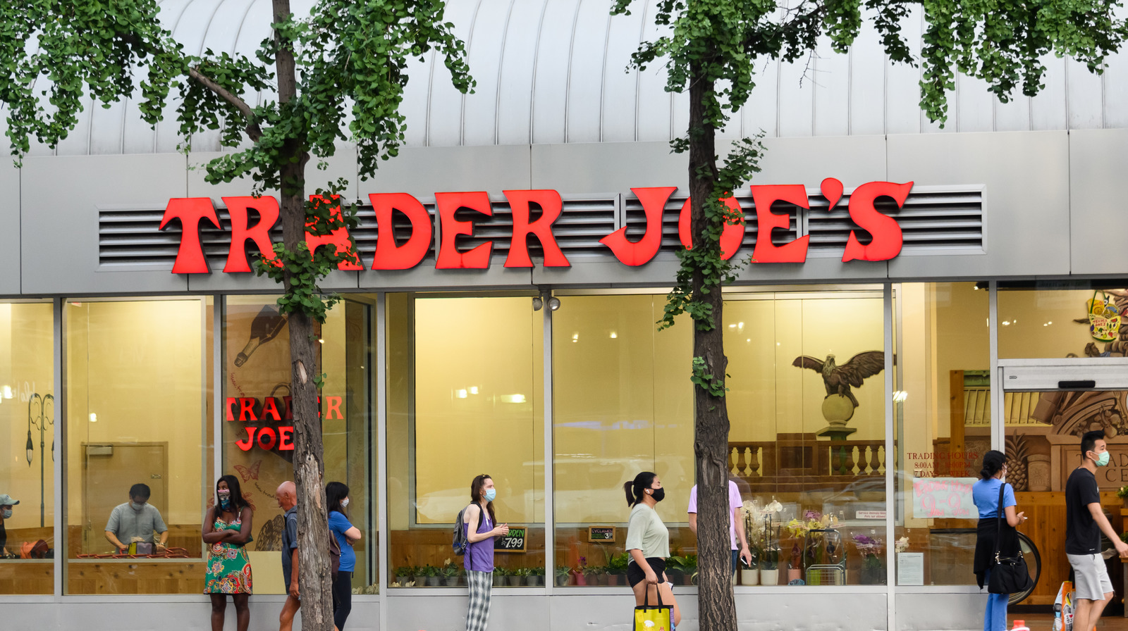 These New Cookies At Trader Joe's Are Just Like Tim Tams