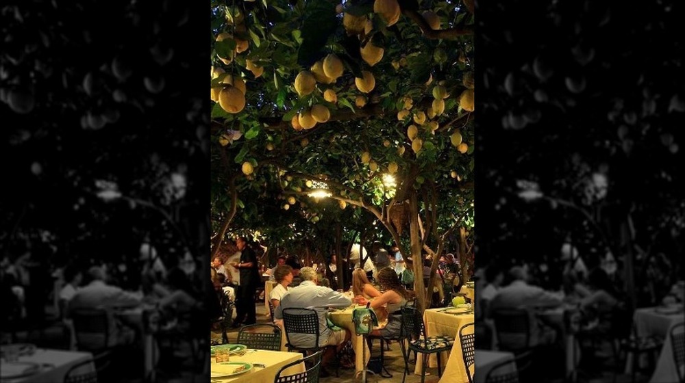 This Was The Inspiration For Giada De Laurentiis' Famous Lemon Spaghetti