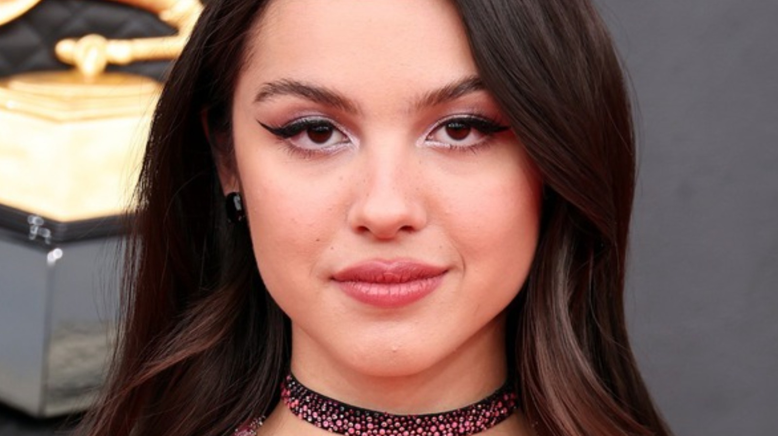 TikTok Is Furious About Olivia Rodrigo's Unlimited Chipotle Card