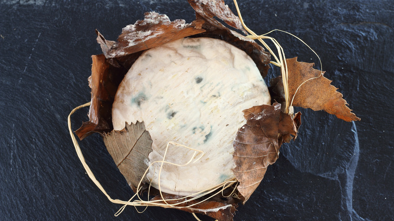 14 Types Of Blue Cheese And What Makes Them Unique