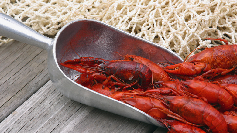 What Are Crawfish And How Do You Eat Them?