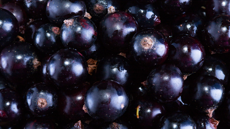 What Are Currants And What Do They Taste Like?