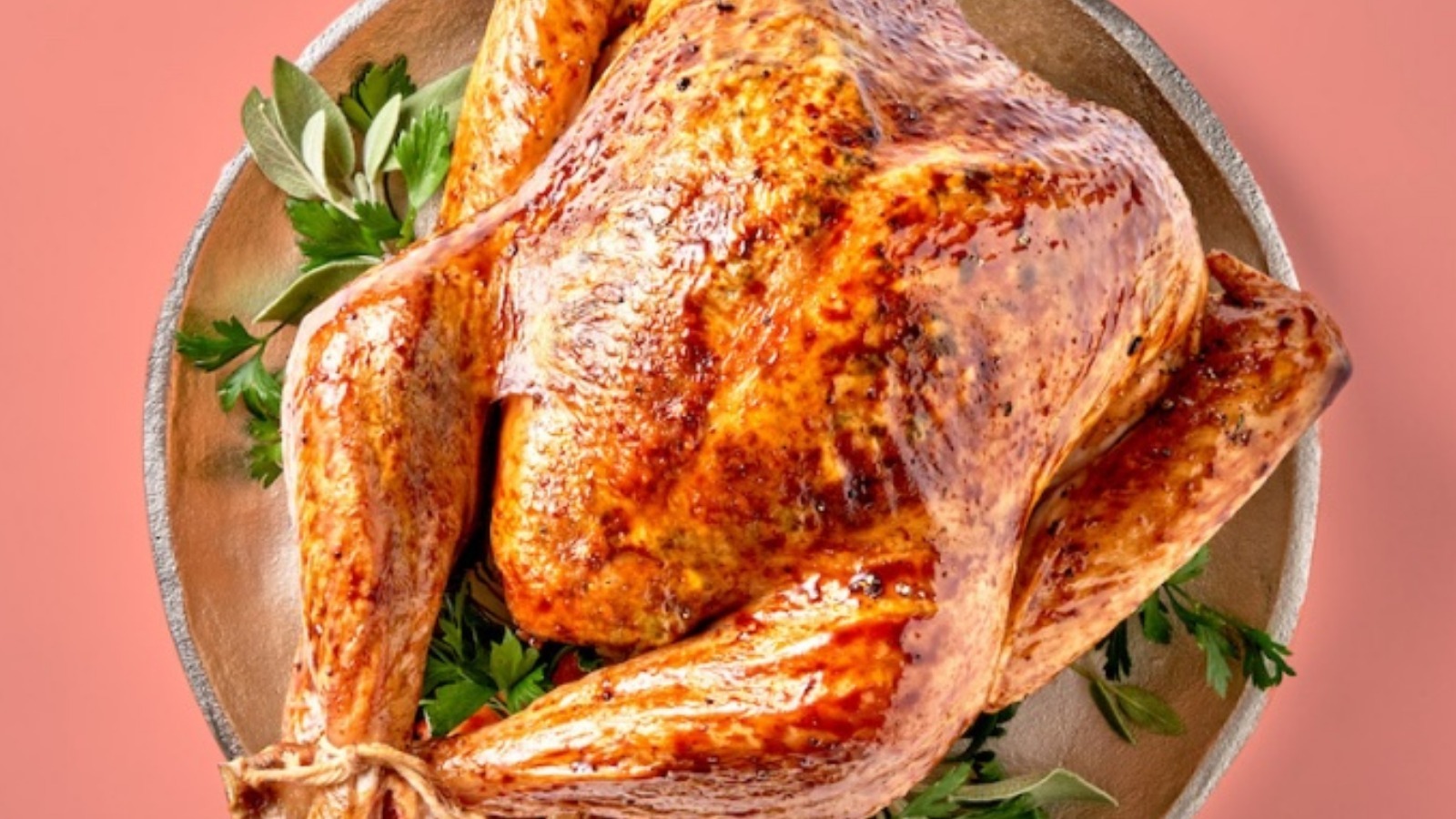 What Happened To Moink After Shark Tank?