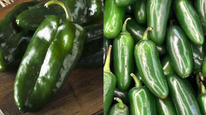 What Is A Poblano Pepper And How Spicy Is It?