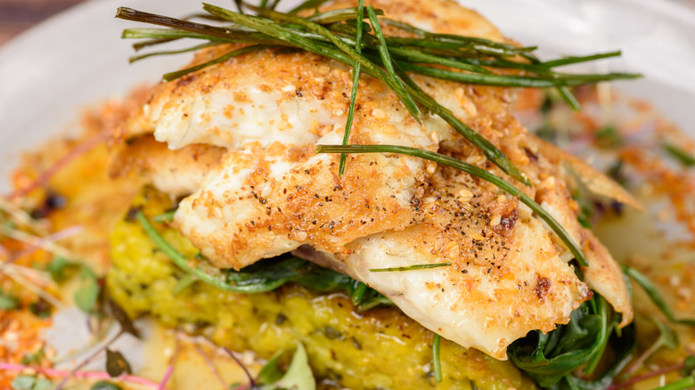 What Is Barramundi And What Does It Taste Like?