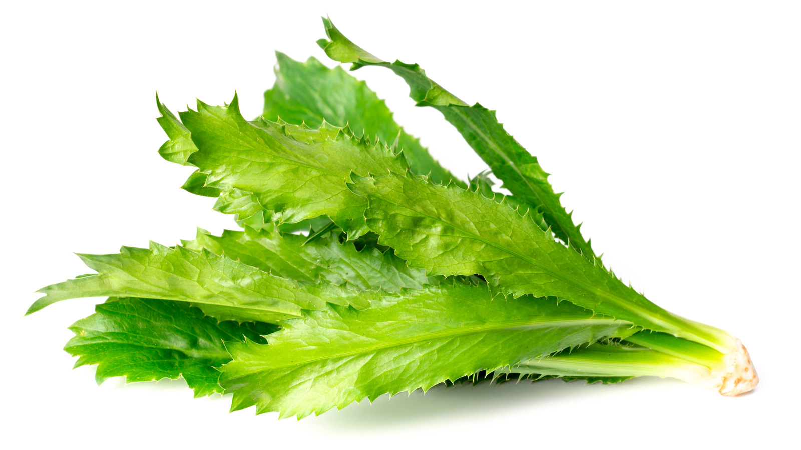 What Is Culantro And What Does It Taste Like?