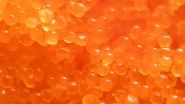 What Is Masago And What Does It Taste Like?
