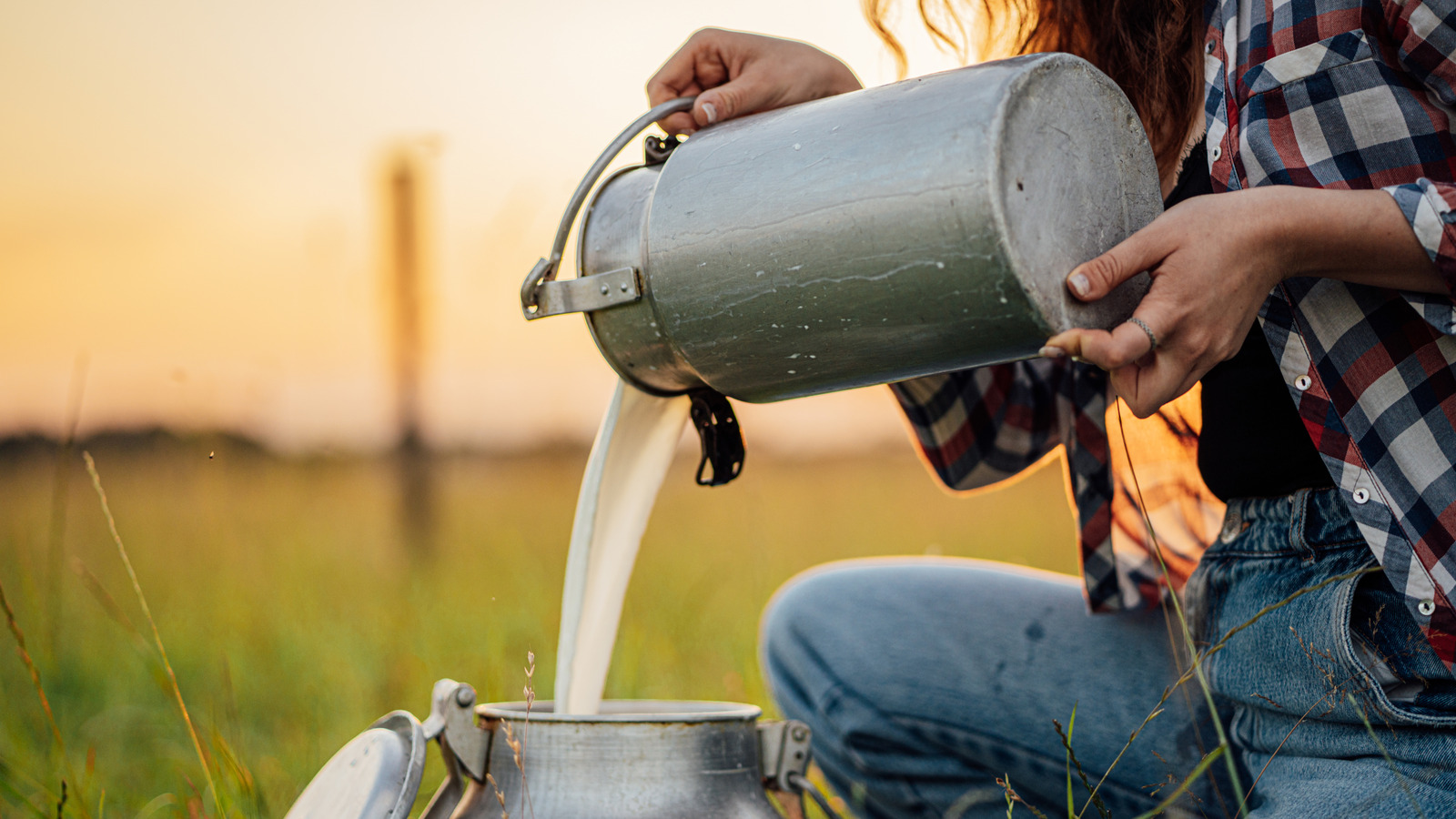 What Is Raw Milk And Should You Drink It?