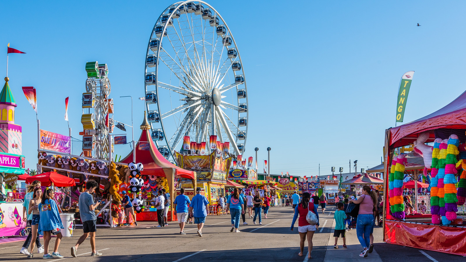 Why The Internet Went Wild For A Virginia County Fair Food Contestant