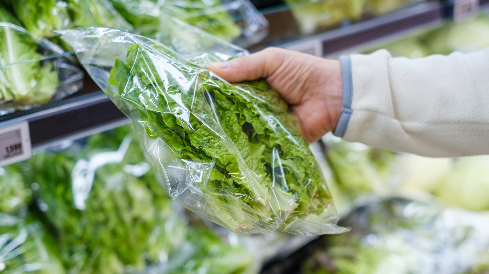 Why You Should Think Twice Before Buying Pre-Washed Lettuce