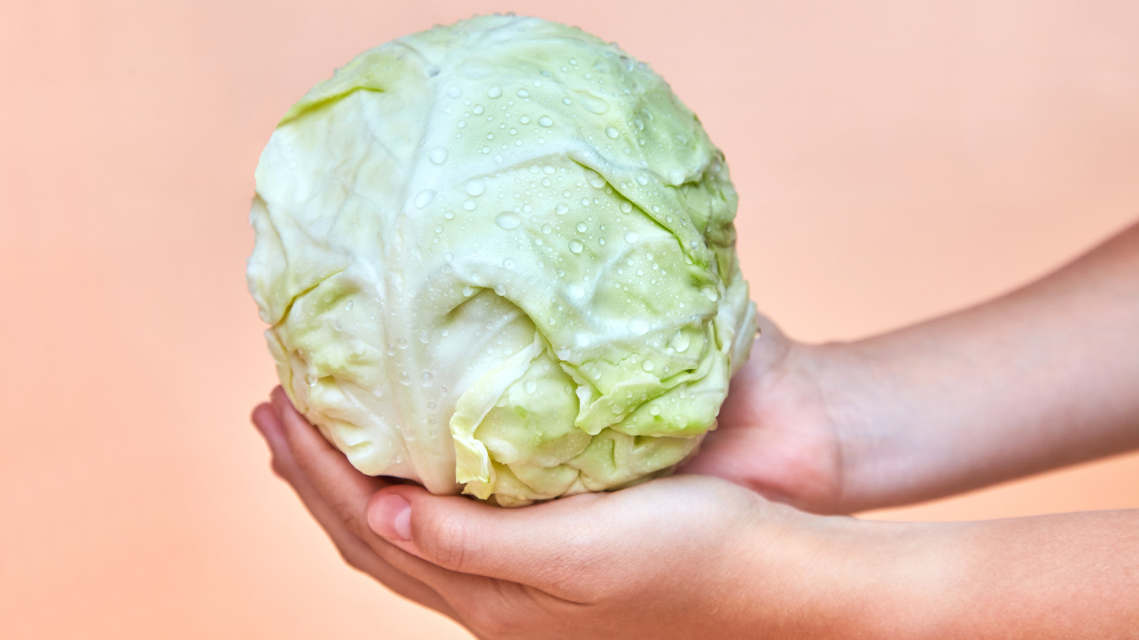 Why You Should Think Twice Before Eating Cabbage