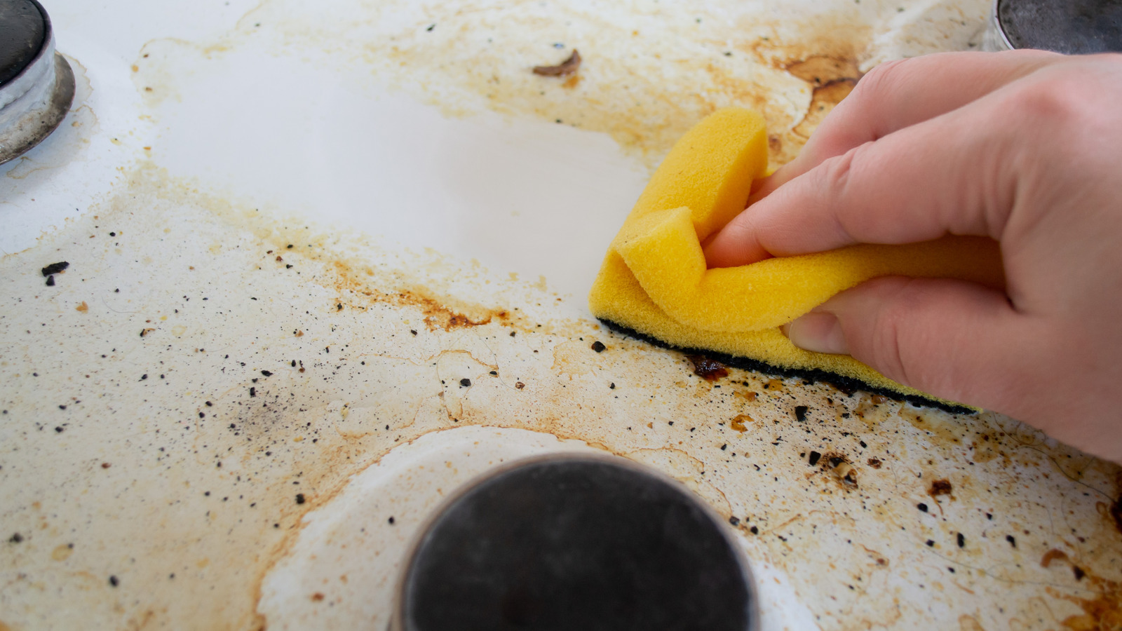 You Should Never Clean Up A Food Spill With A Sponge. Here's Why
