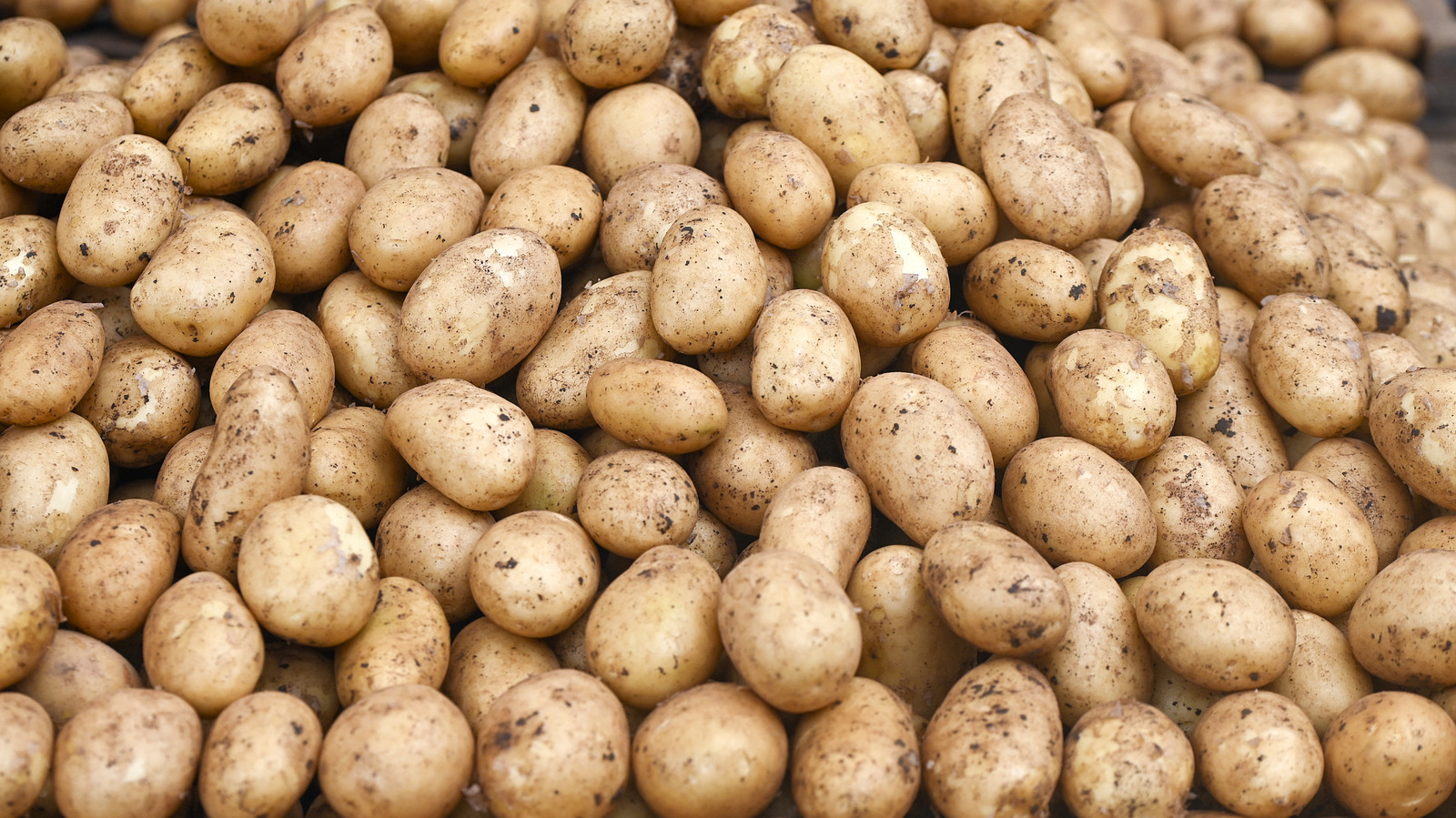 You Should Never Store Potatoes In The Fridge. Here's Why