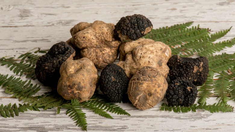 The Untold Truth Of Truffles